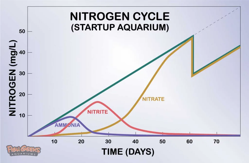 The Nitrogen Cycle New Aquarium Syndrome Fish Geeks The Nitrogen Cycle New Aquarium Syndrome Fish Geeks